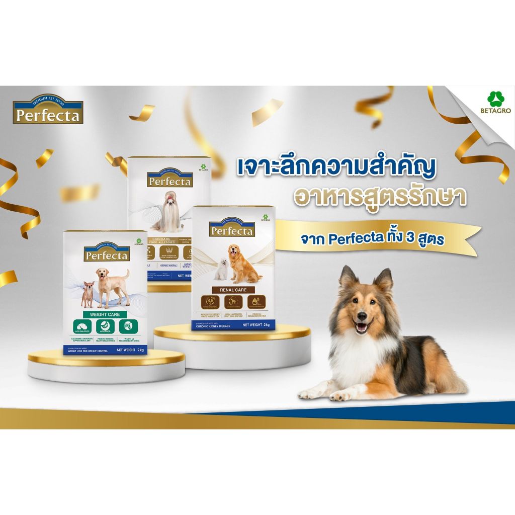 Perfecta Dog Food 3 Formulas Healty (Renal Disease/Dermatitis/Control ...