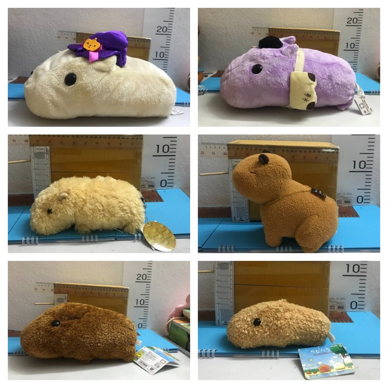 Capi Kid Girl Coconut Capibara With Tag | Shopee Philippines
