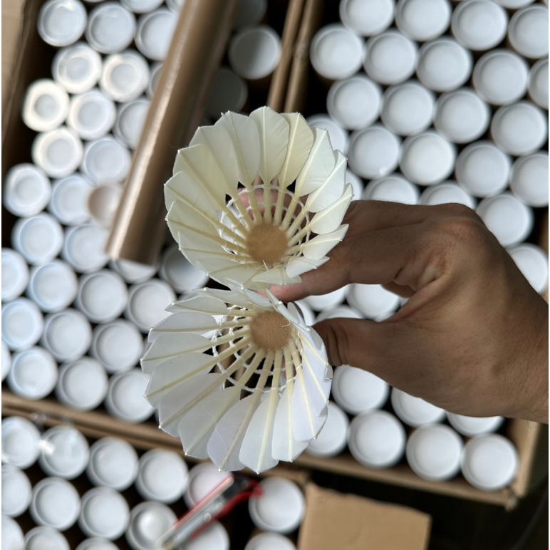 Badminton Shuttlecock And Goose Feather speed 75 Sportsman Grade ...