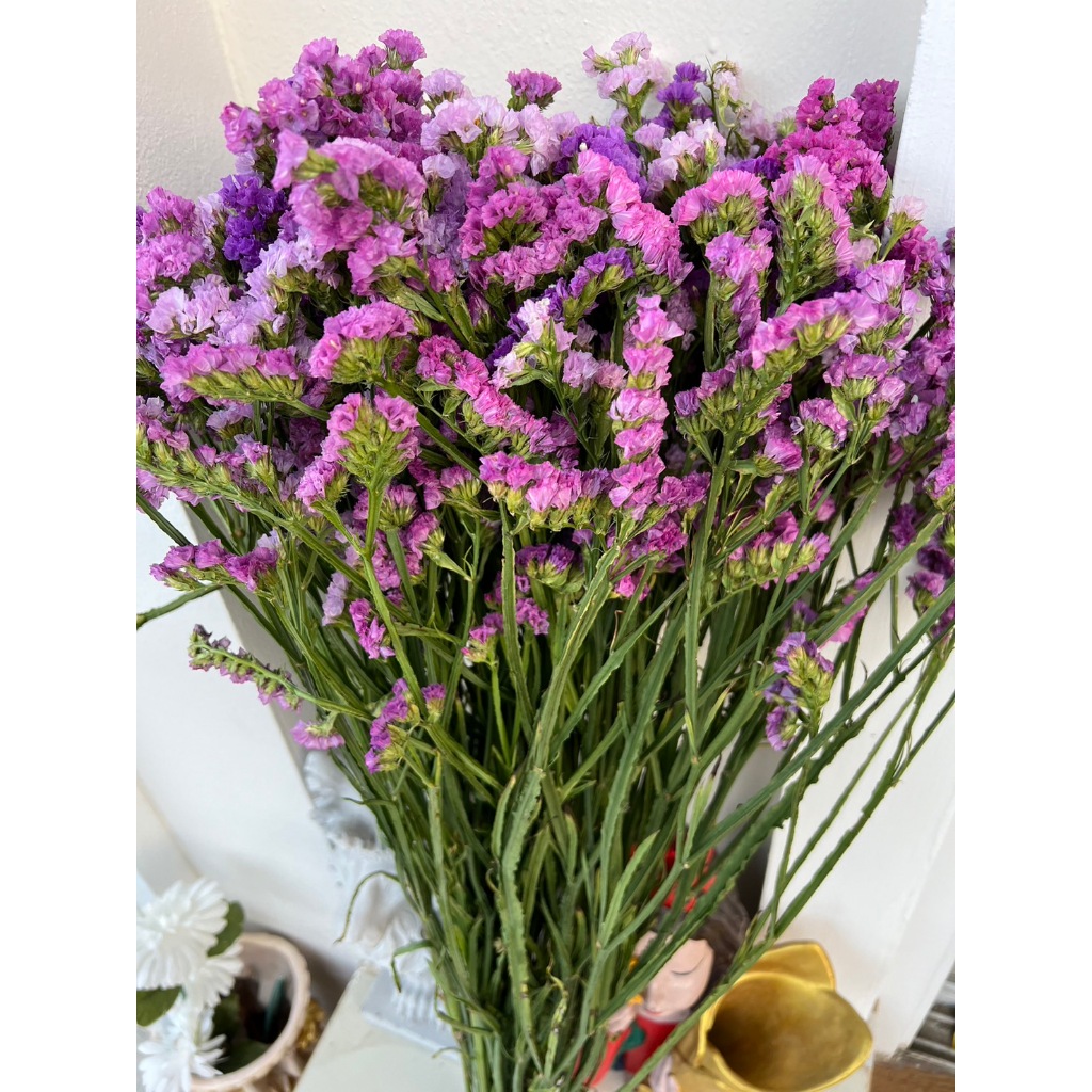 - Assorted Colors-Beautiful Dried Statis Bouquets Real Flowers * Large ...