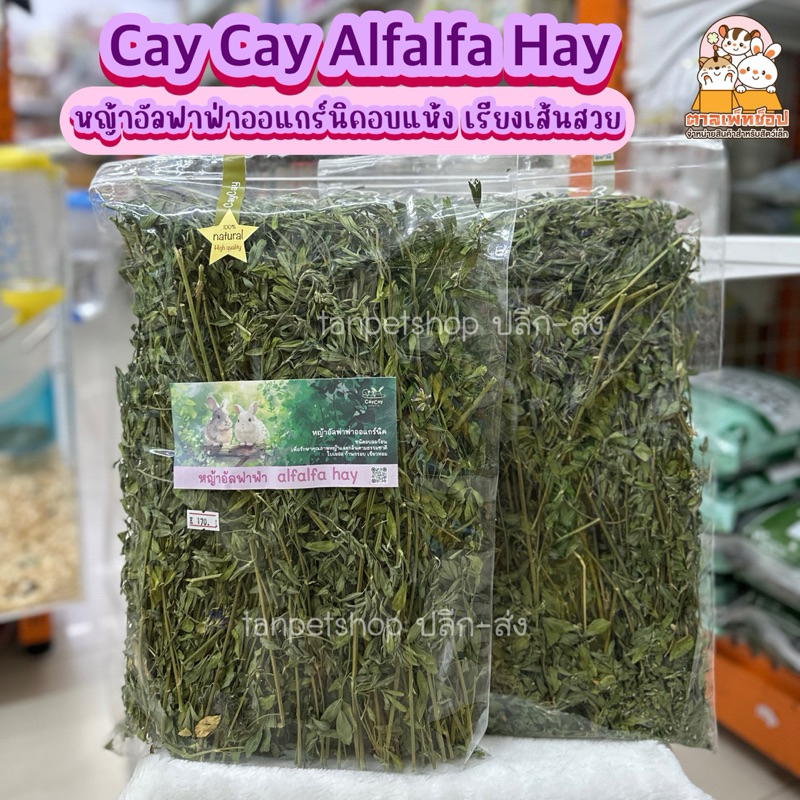 Cay Alfalfa Hay Alpha Grass Organic Hot Air Roasted Fa Tree For ...
