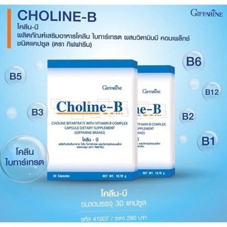 Choline B Choline-B Bitartrate Dietary Supplement With B-Complex ...