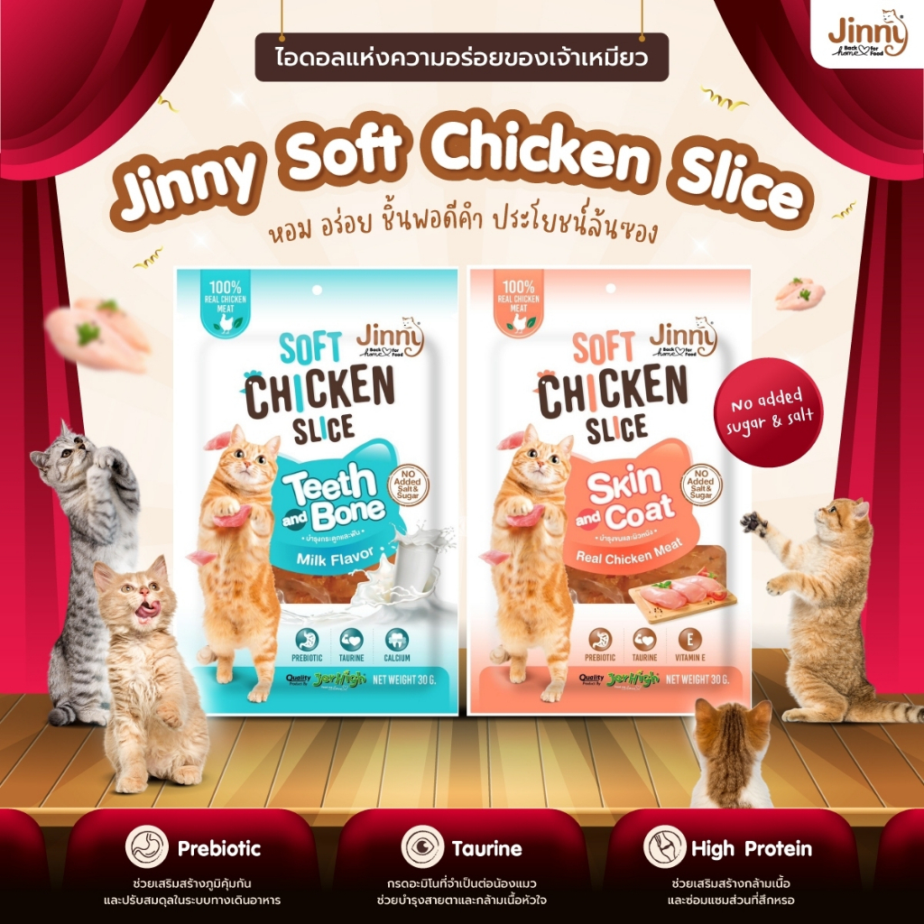 Jinny Soft Chicken Slice Ginny Cat Snack 30g | Shopee Philippines