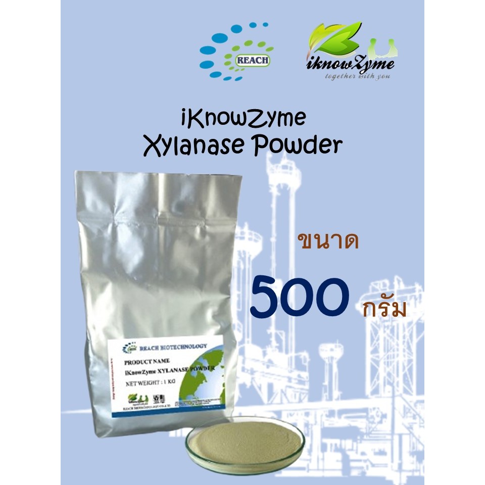 iKnowZyme Xylanase Powder Enzyme Size 500 Grams | Shopee Philippines