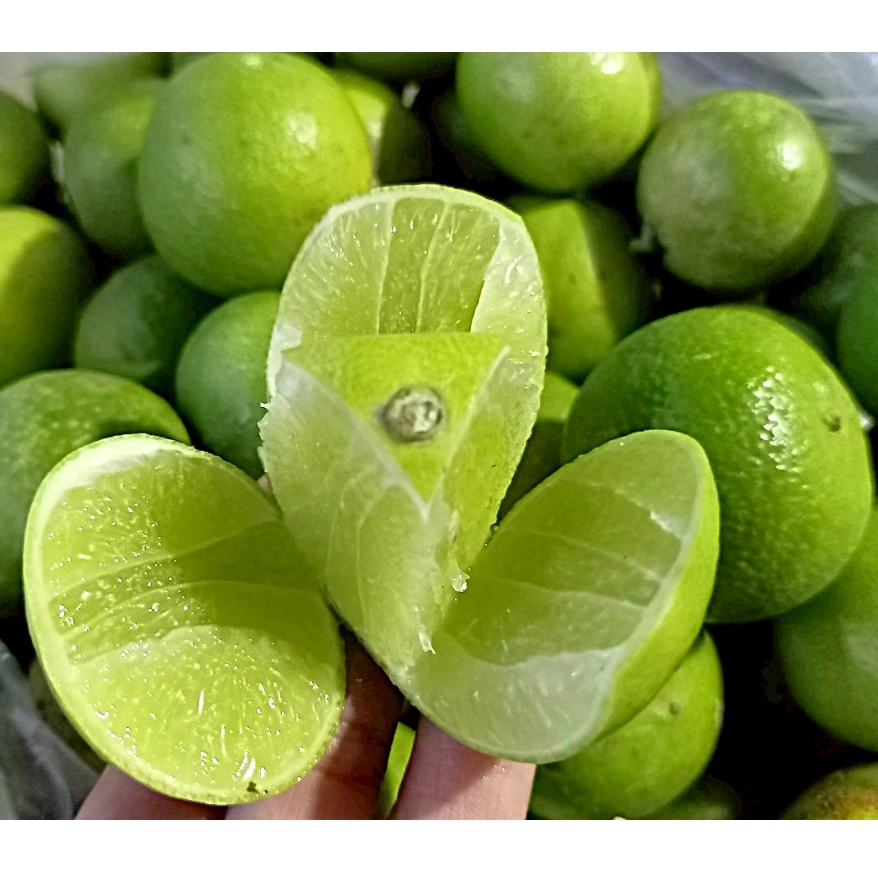 1 Kg Of Key Lime Thin Peel Less Seeds Lots Of Water Fragrant Fresh From ...