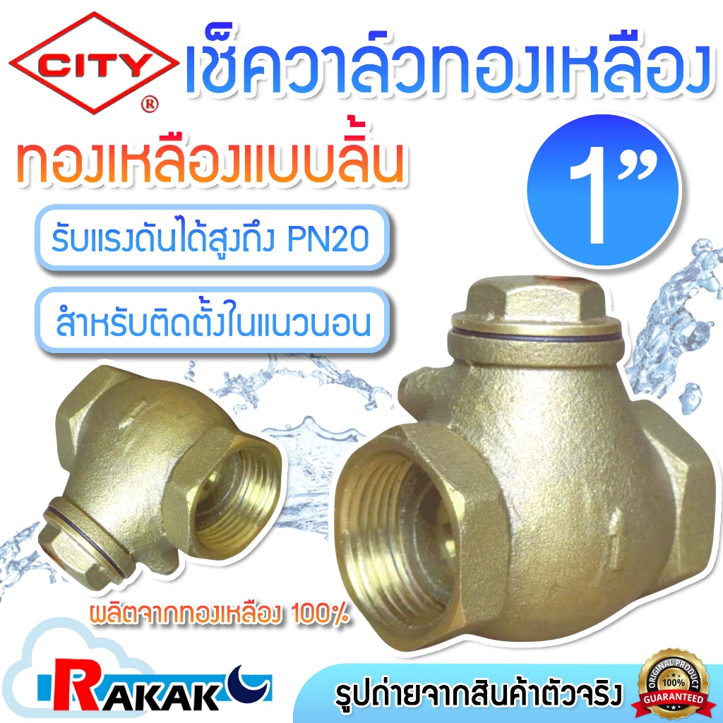 1 Inch CITY Brass Check Valve Solid Color Swing Backflow Durable ...