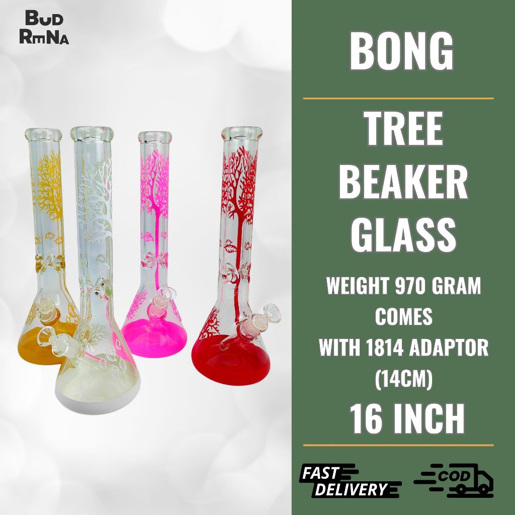 Tree Beaker Glass Vase 16 Inches Tall Thai Shop Fast Delivery ...