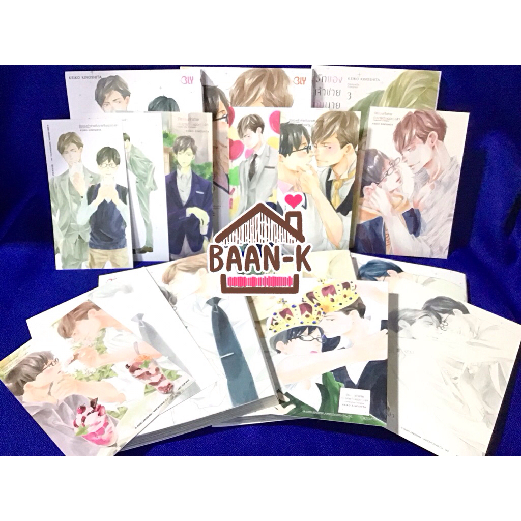 Yaoi Manga Set The Love Of The Prince And Mr. Cinderella Complex 1-6 ...