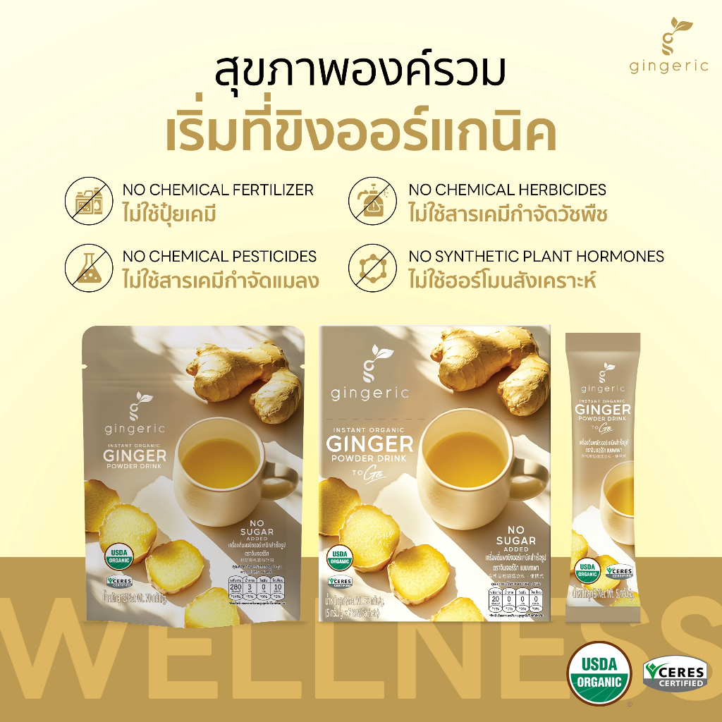 Gingeric Instant Organic Ginger Powder (70g/5g x 7Sachets) | Shopee Philippines