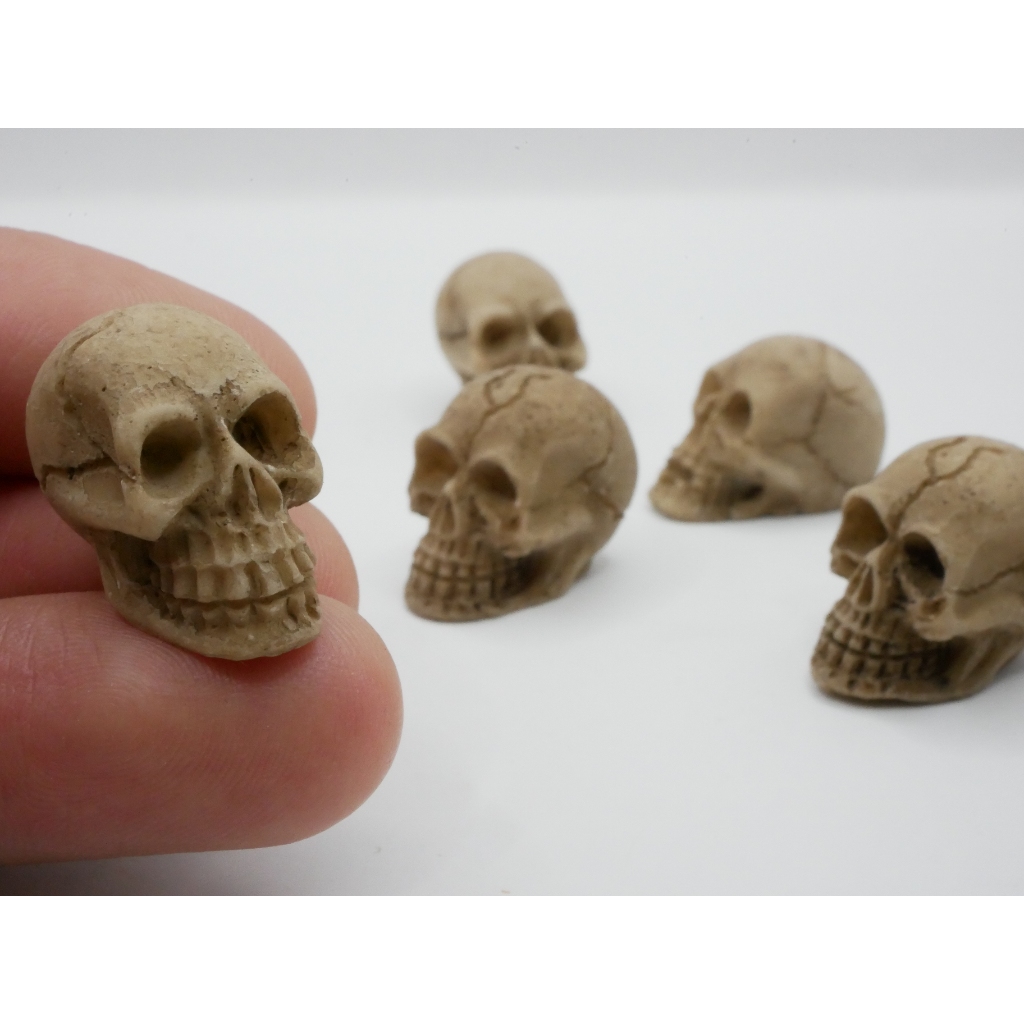 Miniature Skull Head (3 Pieces) Height 1.5 Cm. Halloween Decoration ...