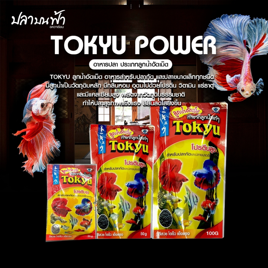 Tokyu Fish Food Real Larvae Pellet High Protein For Betta And All Kinds ...