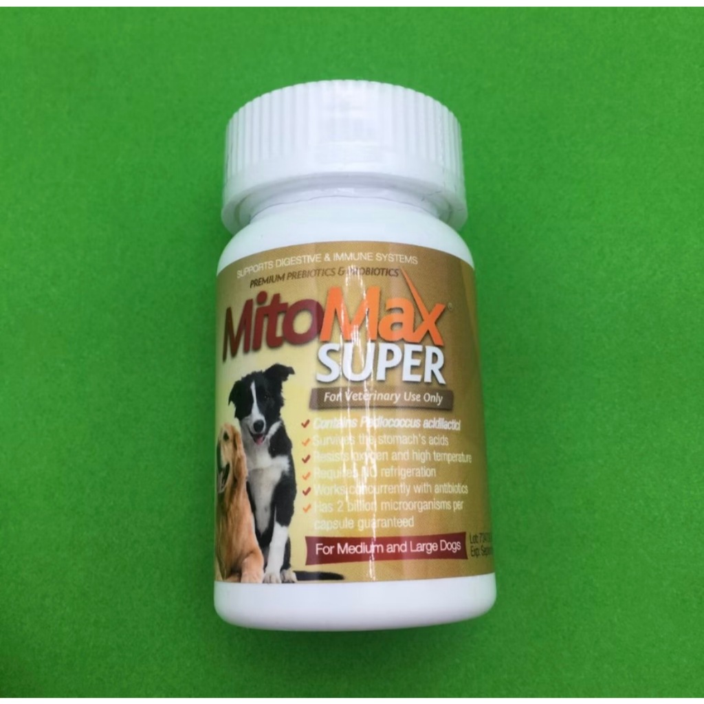 Mito Max Super For Dogs 30 Tablets Strengthens The Digestive System And ...