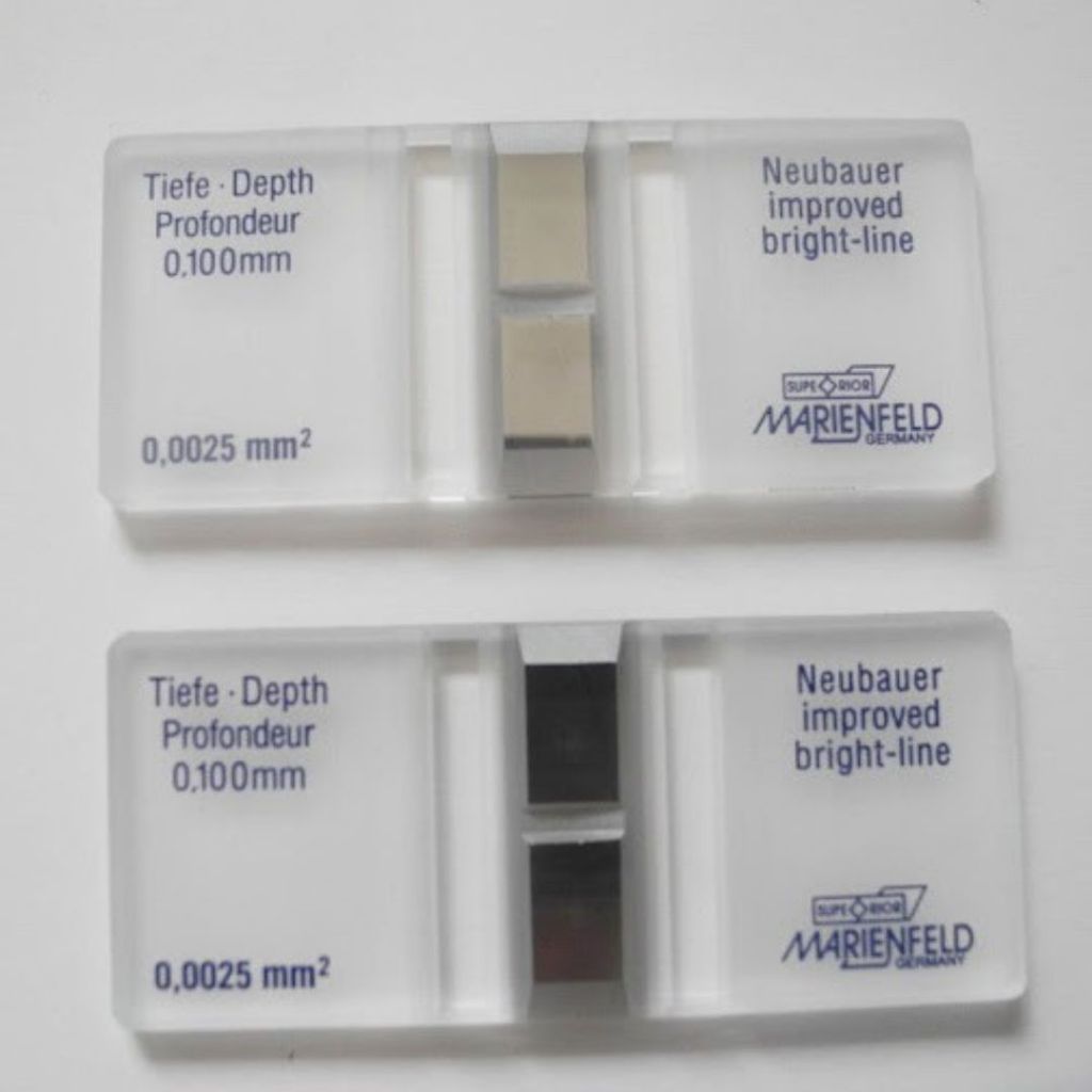 Cell Counting Chamber (Hemocytometer) Slide Count Made in Germany ...
