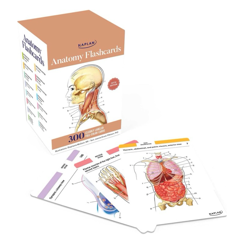 KAPLAN Anatomy Flashcards: 300 Flashcards with Anatomically Precise ...