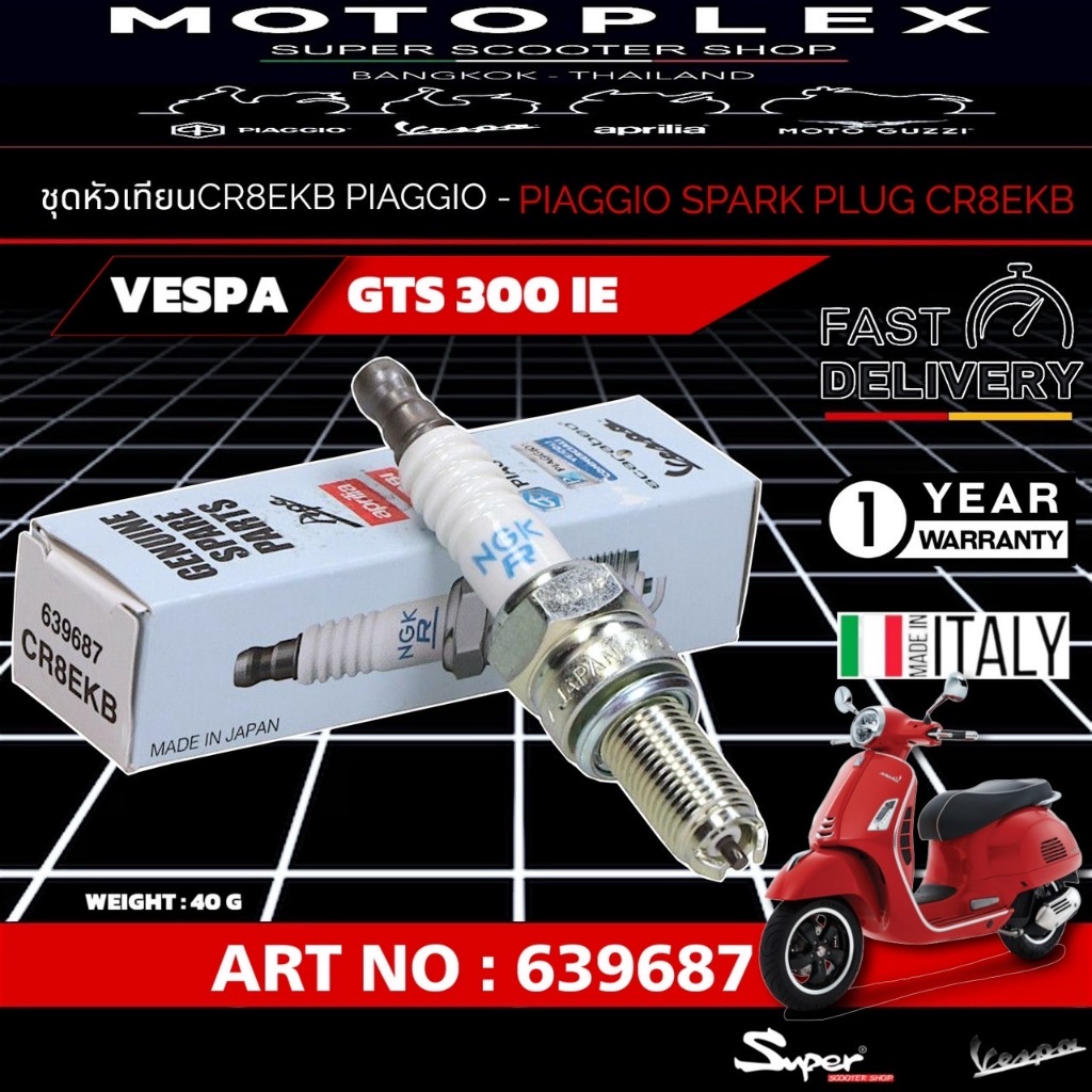Spark Plug Model GTS 300 IE CODE : 639687 | Shopee Philippines