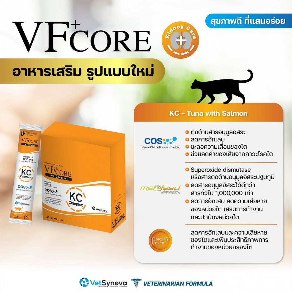 Vf core KC Orange Sachet Kidney Disease Care Formula 30 Sachets Of Cat Lick Snacks Useful ...