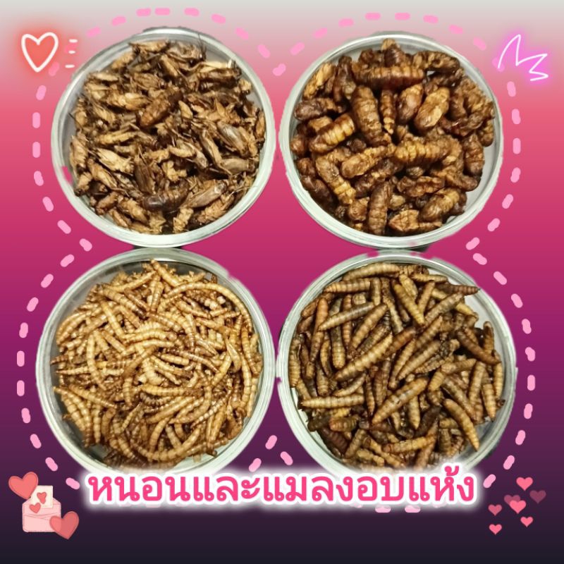 Dehydrated Worms And Insects (Ziplock Seal Bags) | Shopee Philippines