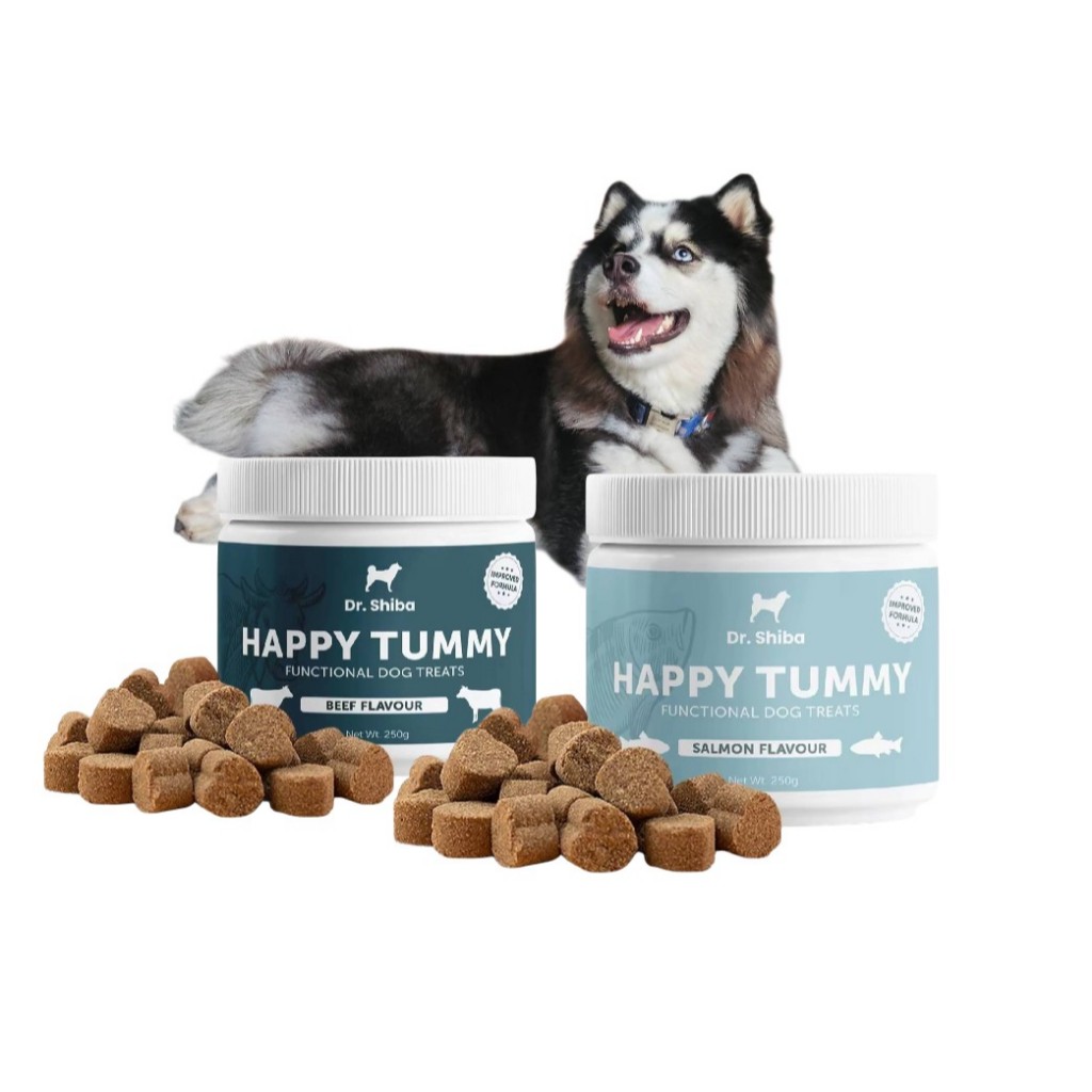Dr. Shiba Happy Tummy-Dog Treats Help Digestive System Snack Beef ...