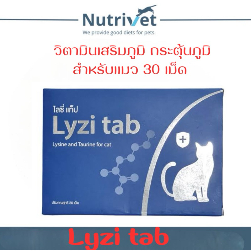 Lyzi Tab A Protein Supplement For Adults 1 Year And Older Contains 30 ...