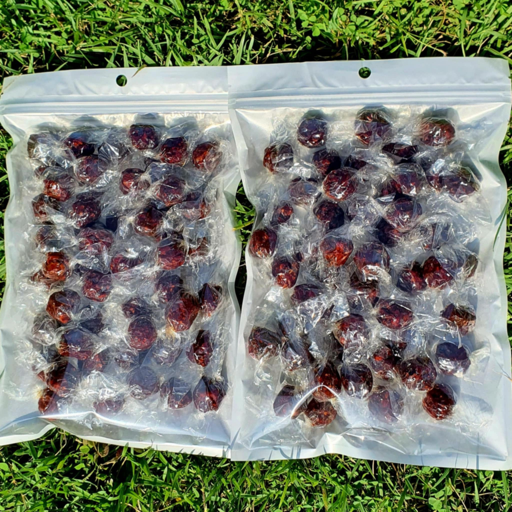 Seedless Guan Yee From Pattani Made Fresh Every Day. Real Meat 1 (Total ...