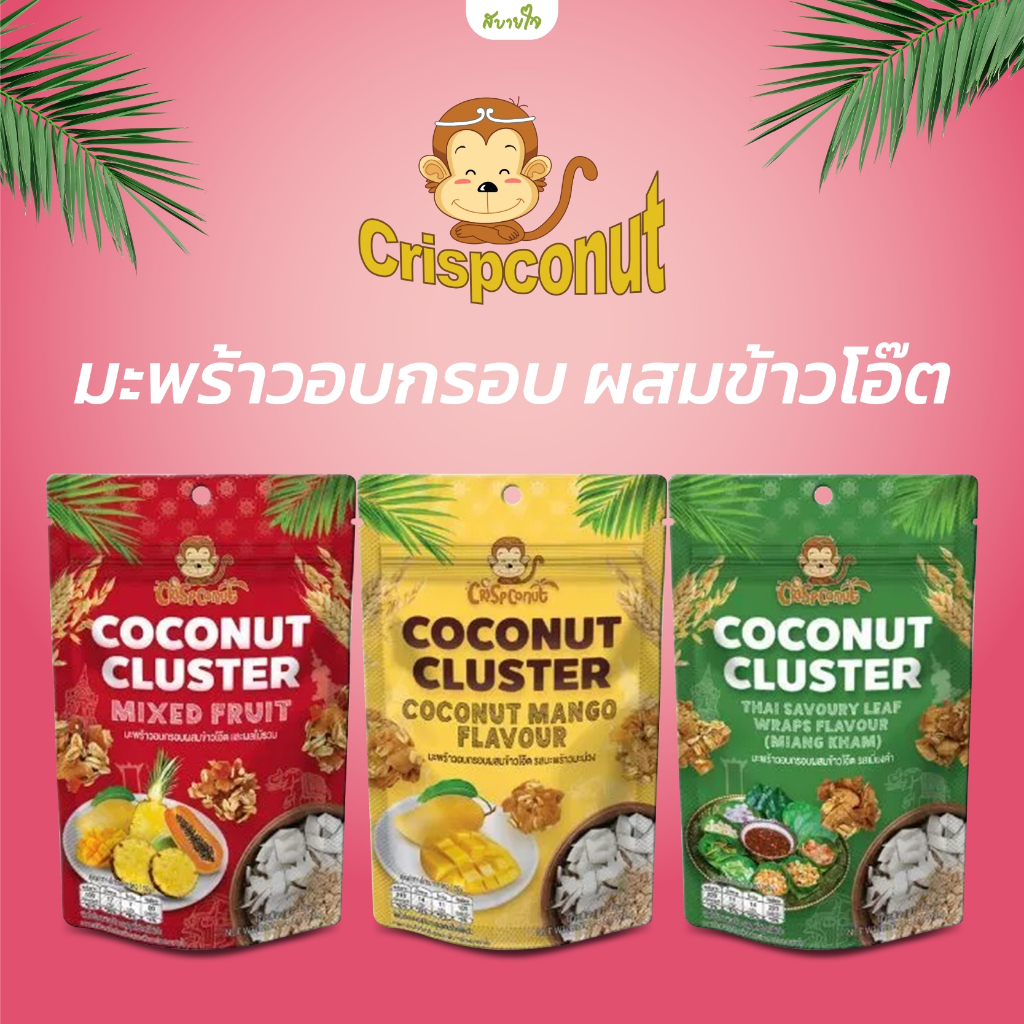 Crispy Coconut With Oats 40g (Crisp Coconut) | Shopee Philippines