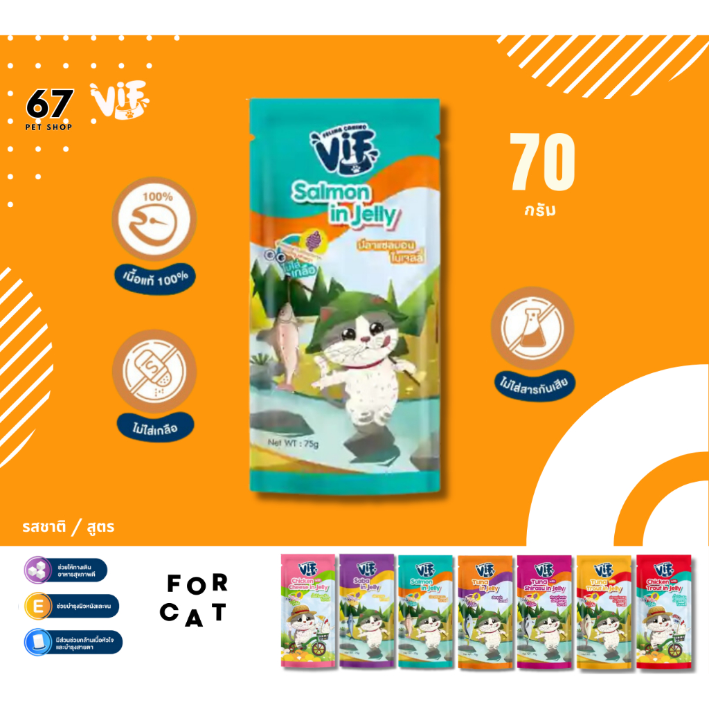 VIF Felina Canino JELLY (1 Sachet) Cat Wet Food With Wive Complete ...