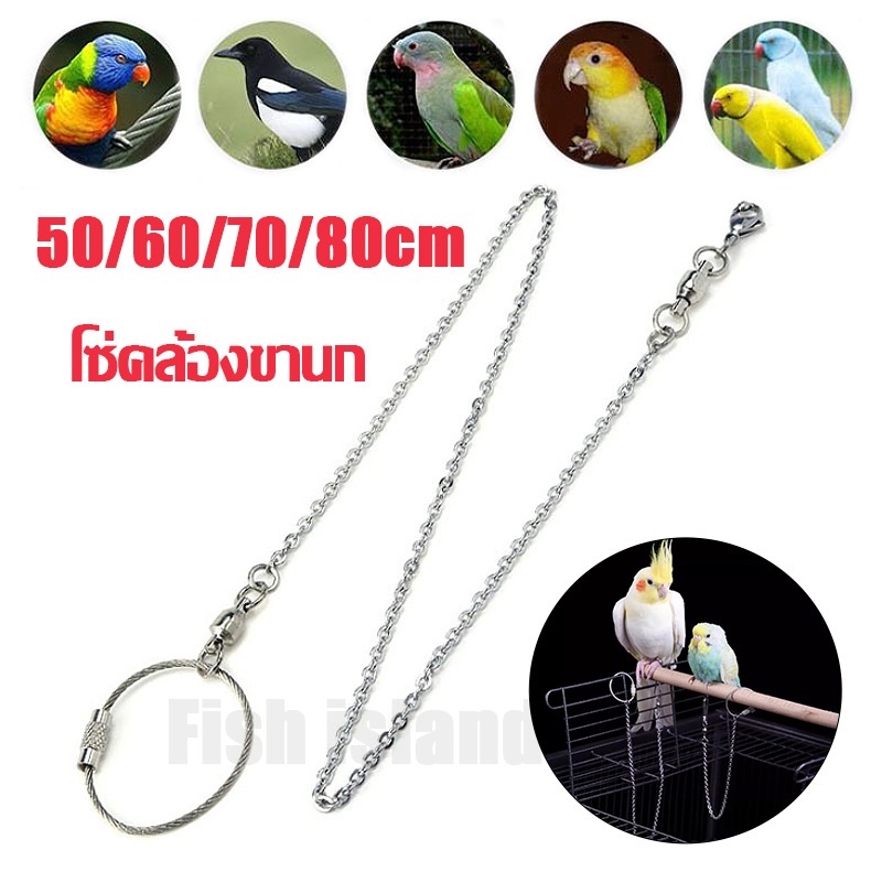 Bird Chain Parrot Sold Separately With An Open Loop 0.8mm Thick Good ...