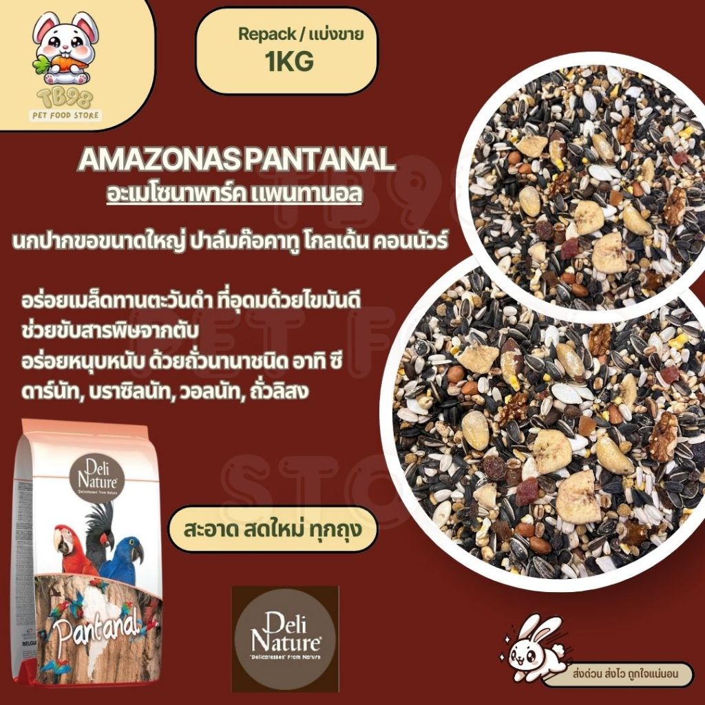 Deli Nature Amazonas Pantanal Large Hook-Bird Food Palm Cocatu Golden ...