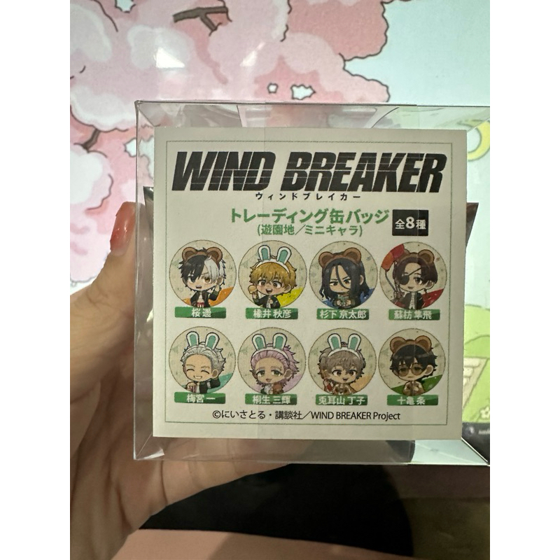 (Dip Pin) WIND BREAKER Tin Badge (Theme Park/Mini Chara) 8Pack BOX ...