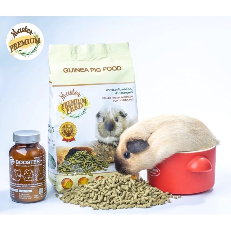 Gatsby Rat Food 910g Guinea Pigs High Protein!! Premium Level Master ...