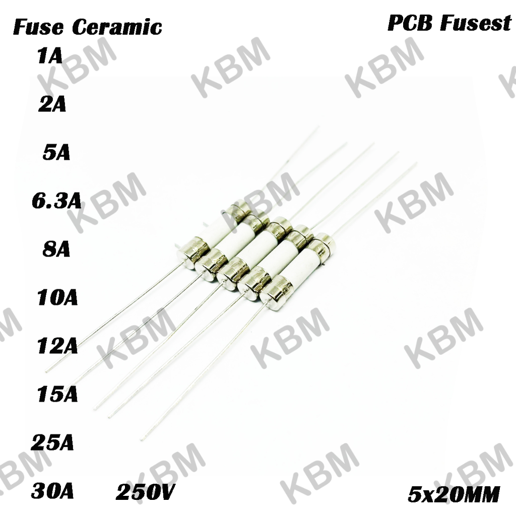 Fuse Ceramic PCB Fuses Mouse Tail 1A 2A 5A 6.3A 8A 10A 12A 15A 25A 30A ...