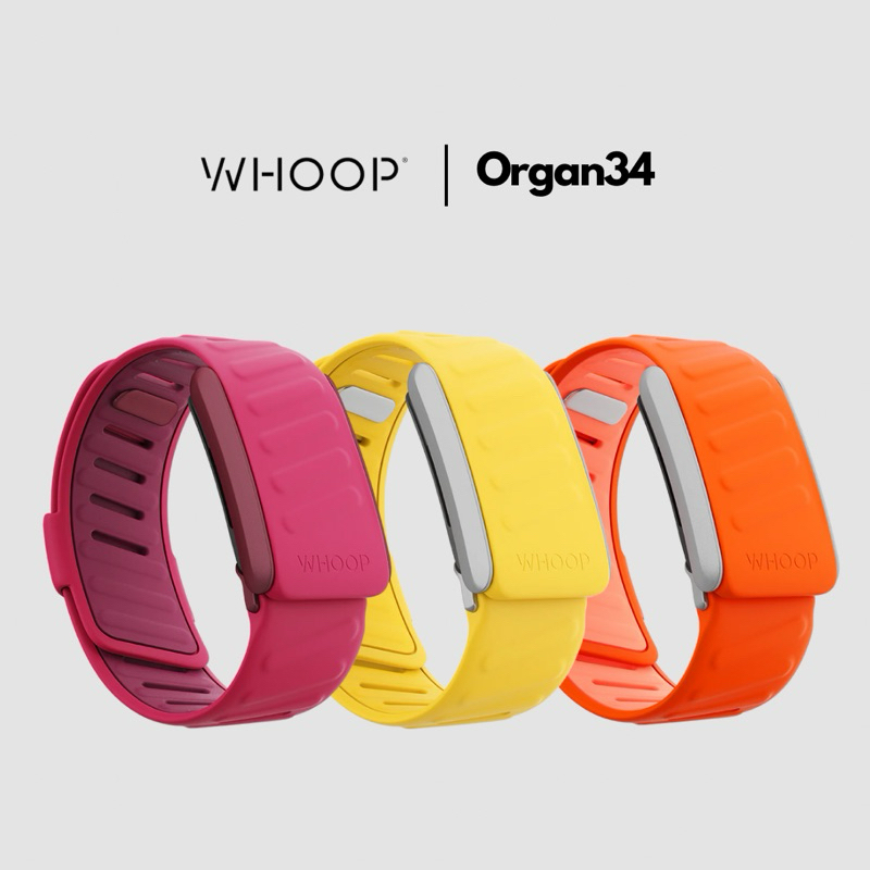 Whoop 4.0 Sportflex Band Wristband Intelligent Health Measurements Only ...