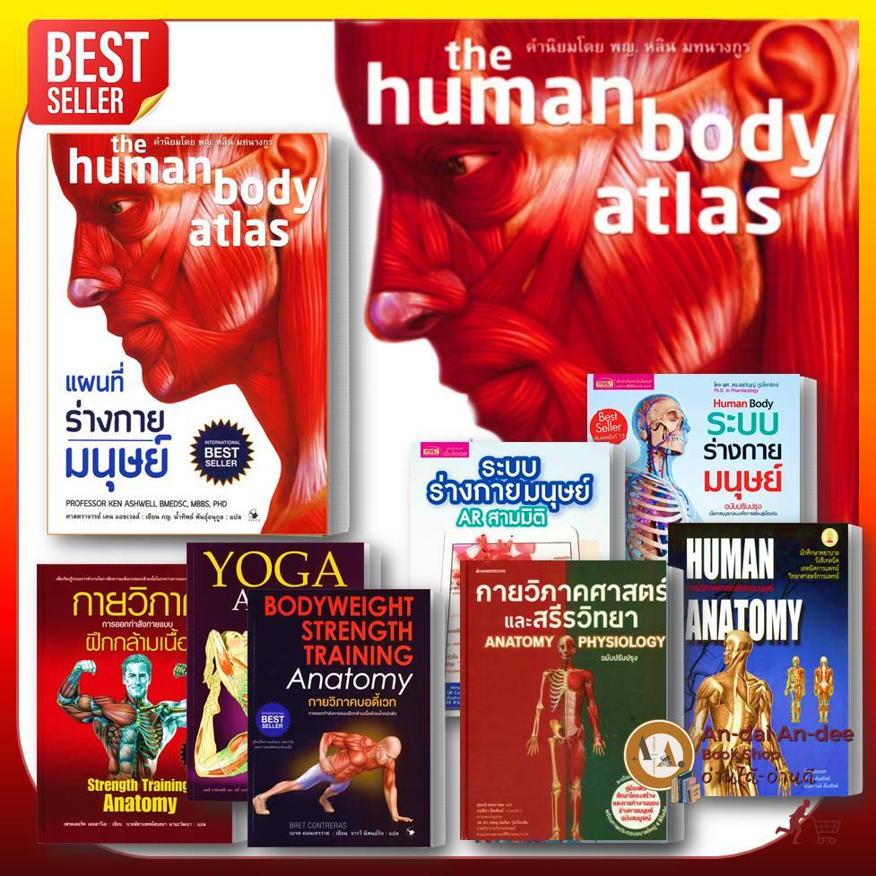 Books The Human Body Map HUMEN ANATOMY//Yoga/Exercise/Human System ...