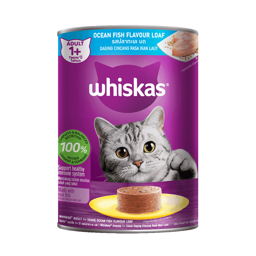 Mars Whiskas Can Ocean Fish Flavor Loaf-1+ Year Wet Cat Food Canned ...