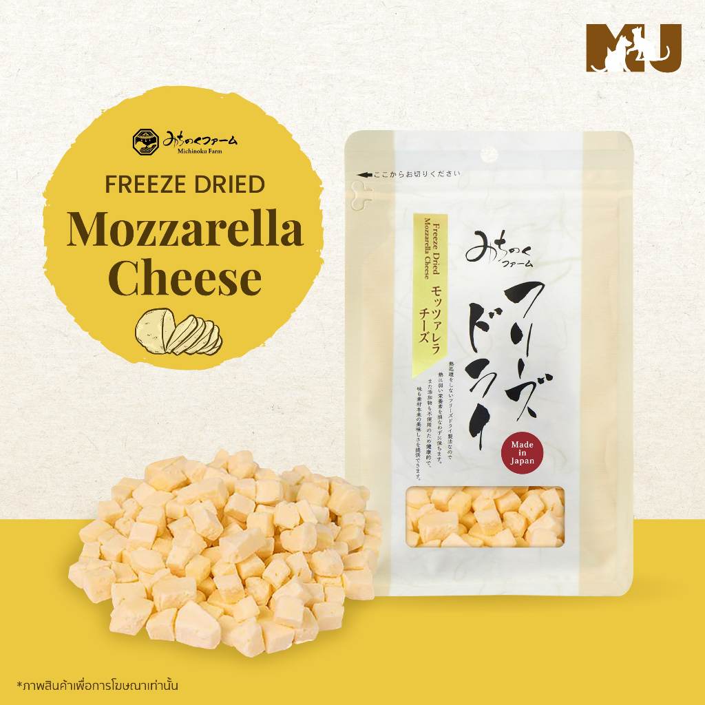 Freeze Dried Mozzarella Cheese 50g. | Shopee Philippines
