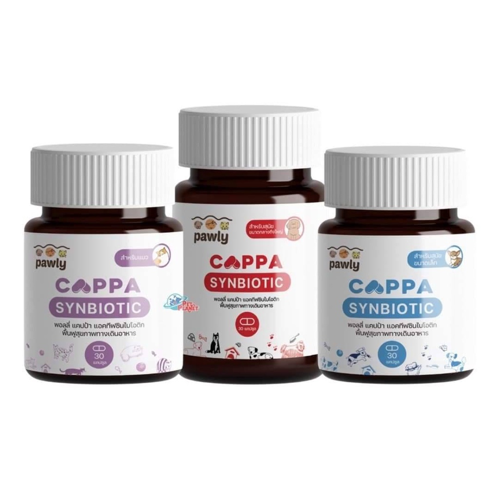 Pawly Cappa Gastrointestinal Balancer For Dogs & Cats | Shopee Philippines