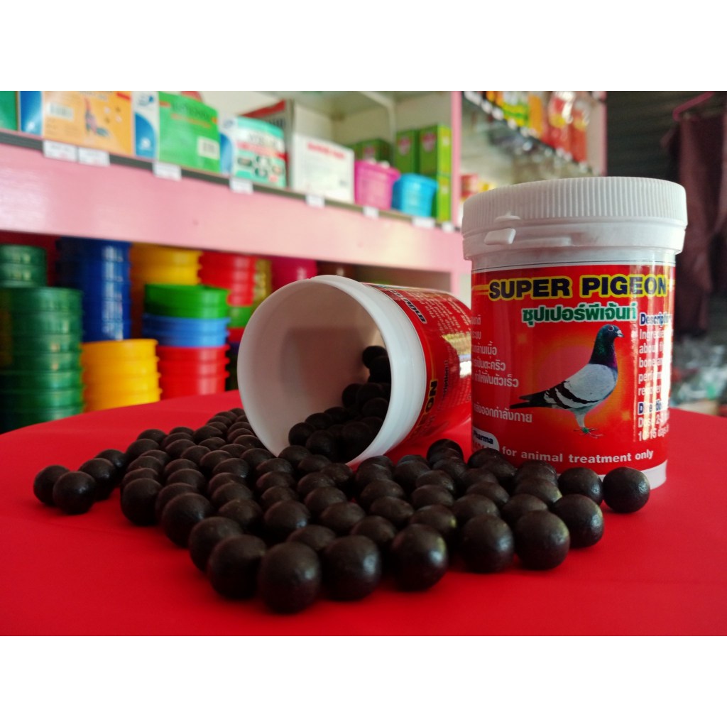 Super Pigeon Chicken Food Pellet Bin Head | Shopee Philippines