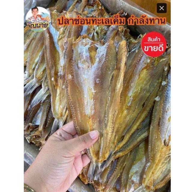 Salted Sea Snakehead Fish Is Eaten 1 000 Grams | Shopee Philippines