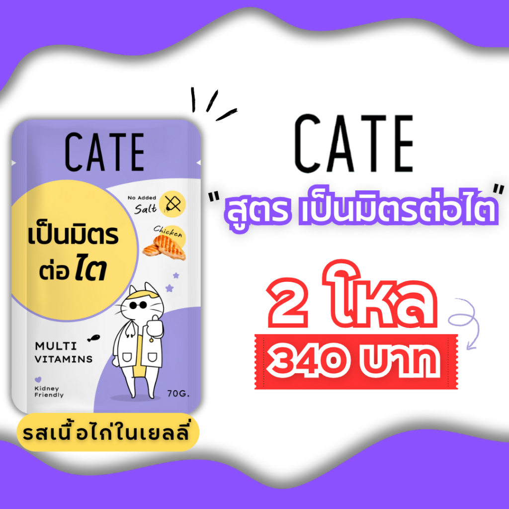 cate Cat Food Kidney Friendly Formula (2 Dozen) Sachet | Shopee Philippines