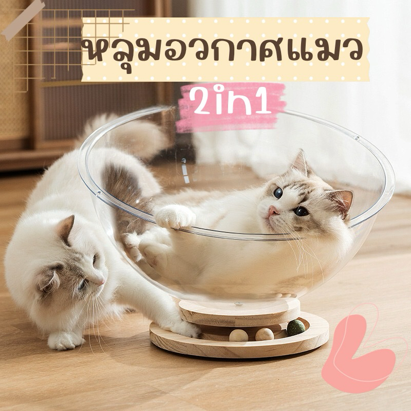 Clear Acrylic Dome Cat Space Holes Capsule 2in1 2 Sizes Available ...