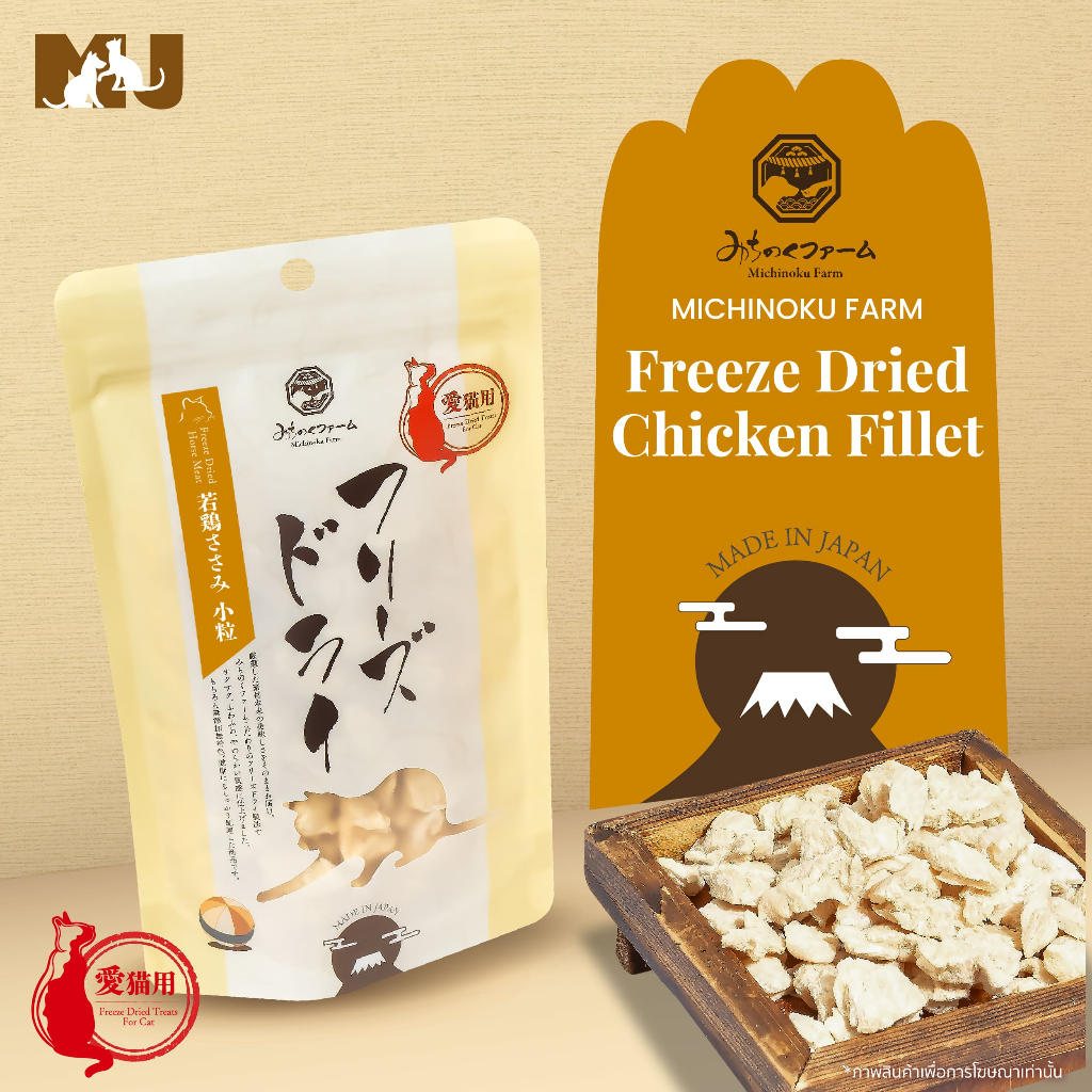 Freeze Dried Chicken Fillet 30g. Meat Cat Snack | Shopee Philippines