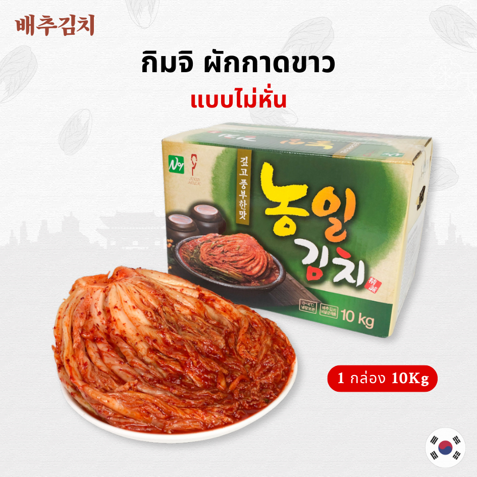 Korean Kimchi Box 10KG Authentic Original | Shopee Philippines