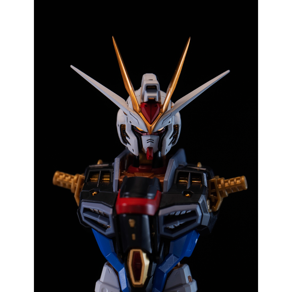 Minerval Hobby MG MB MC MGEX 1/100 Head Strike Freedom Dedicated ...