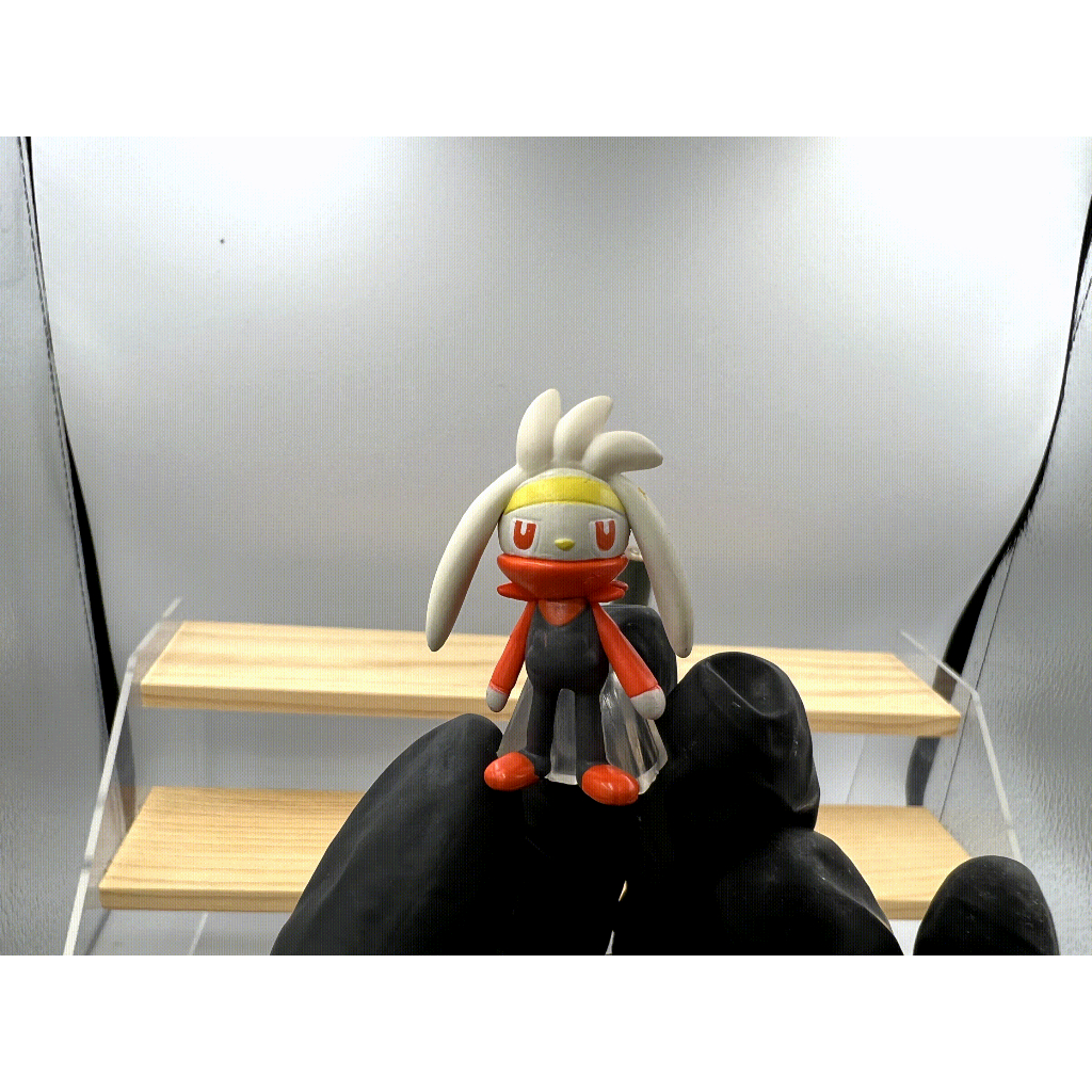 Pokemon Scale World :Raboot | Shopee Philippines