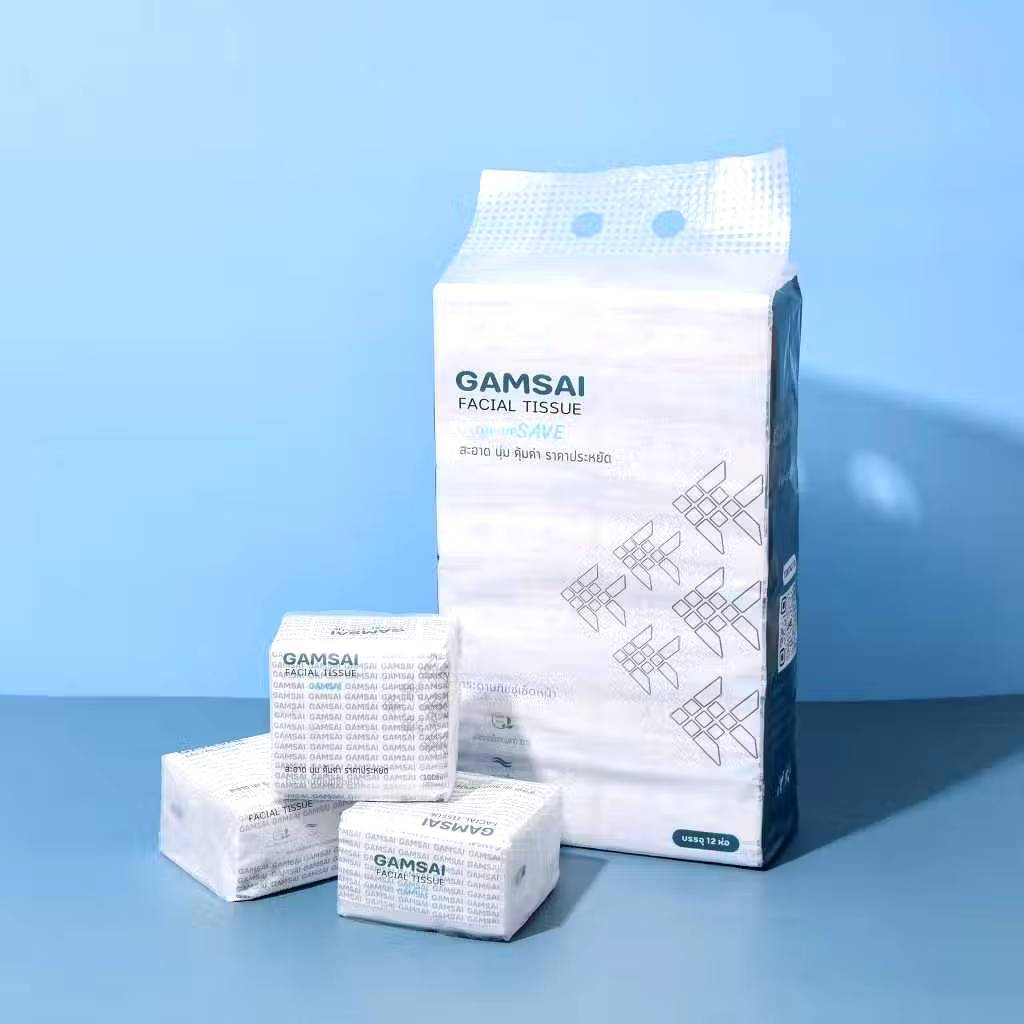 GAMSAI Clear Cheek Facial Tissue TOP-UP SAVE Model 2 Layers Thick 1 ...