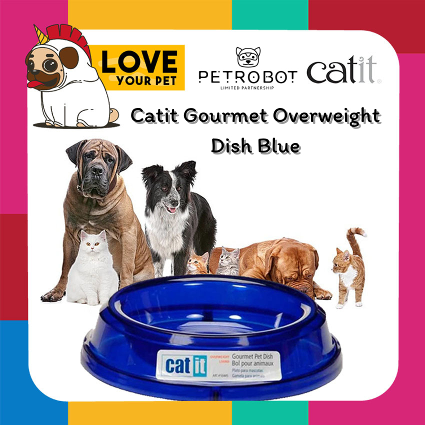 Catit Gourmet Overweight Dish Blue The Dog Bowl And Mow Is Lightweight ...