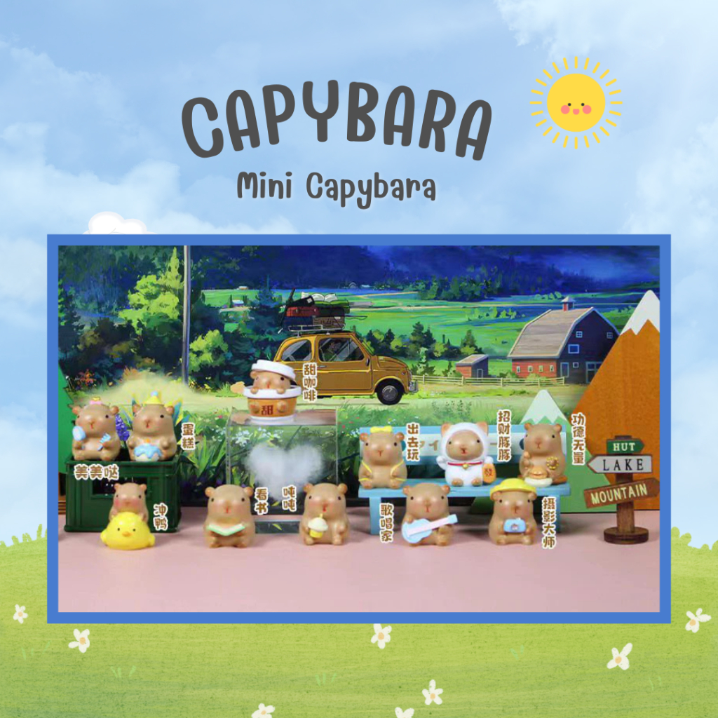 mini Capybara Random Box | Shopee Philippines