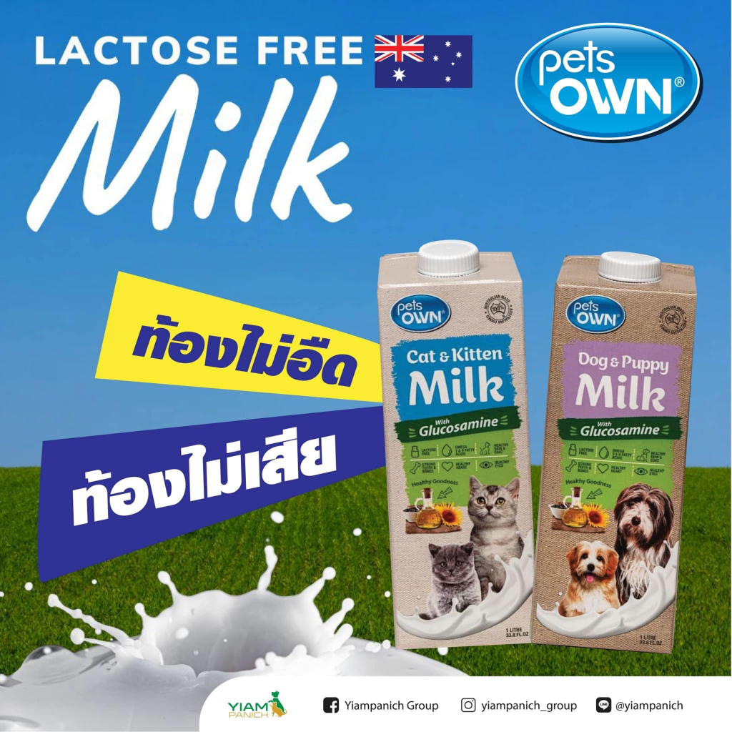 Pet Milk Not Own Dog Cat 1 Liter | Shopee Philippines