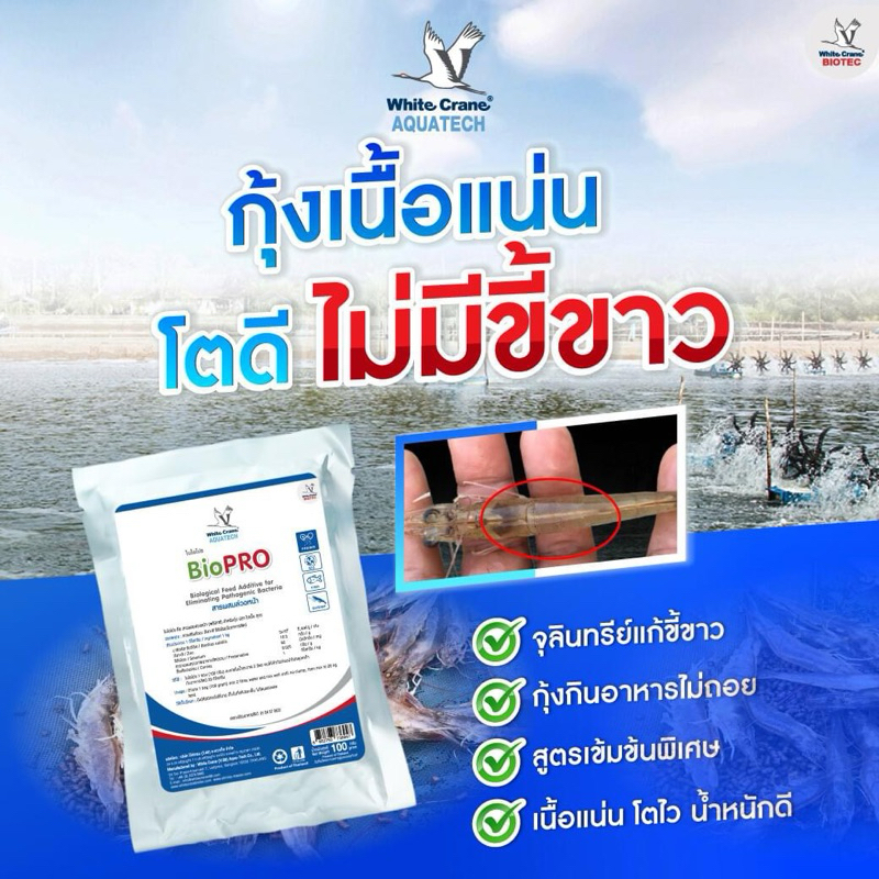 BioPro (BioPro) Concentrated Food Mixing Microorganisms Solves The ...