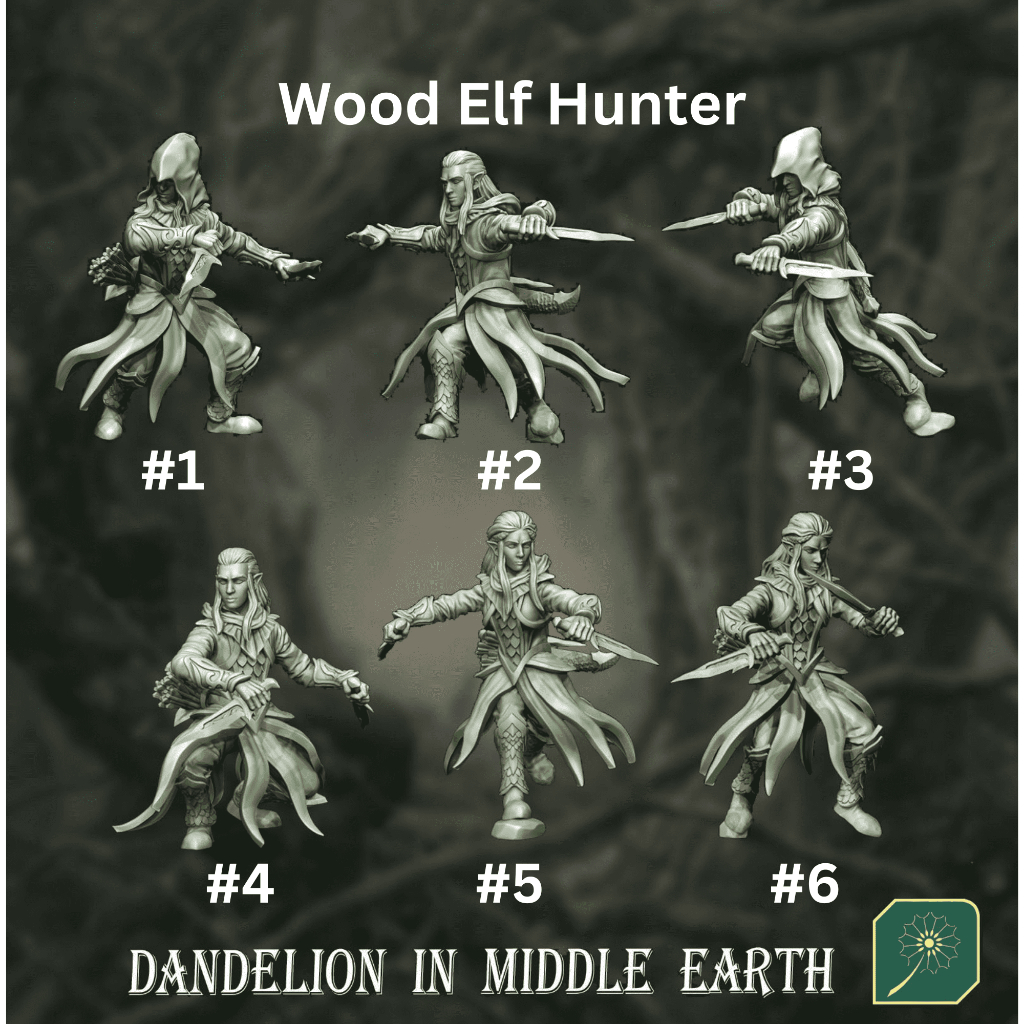 [Dandelion in Middle earth] Dark Wood Elf Hunter & Band-Model For DnD ...